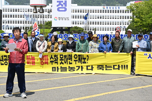 "마늘·양파 수확기라도 불법체류 단속 멈춰주길"